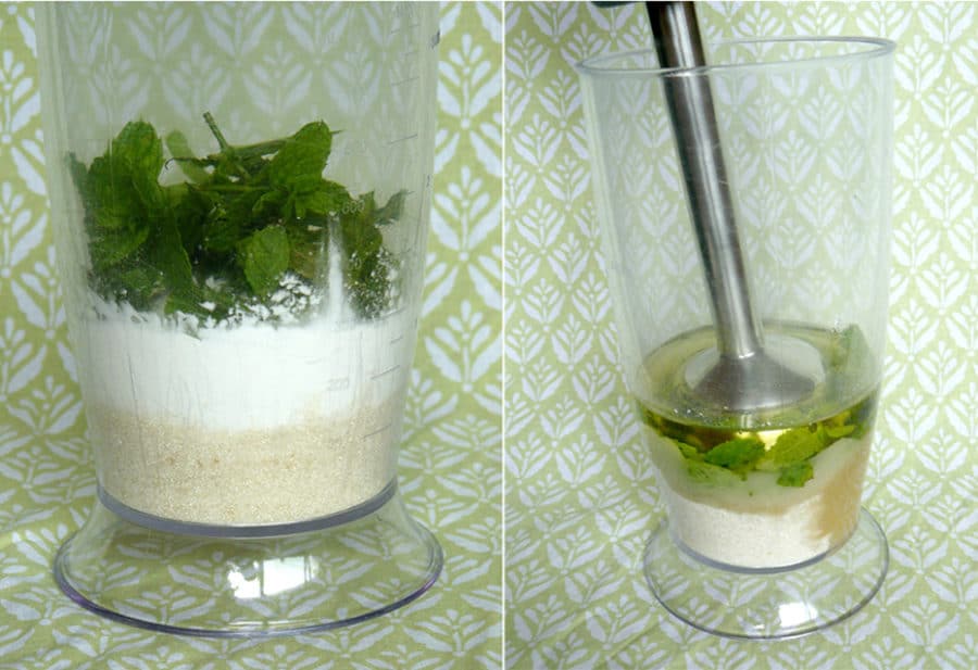 Minze Zitrone Peeling »Sommerhauch« | Schwatz Katz